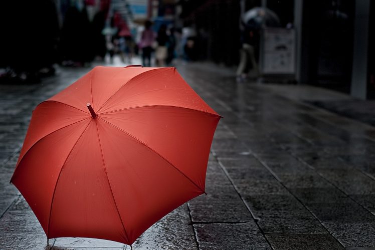 The 9 Best Umbrellas for 2026 - Top Picks & Buying Guide